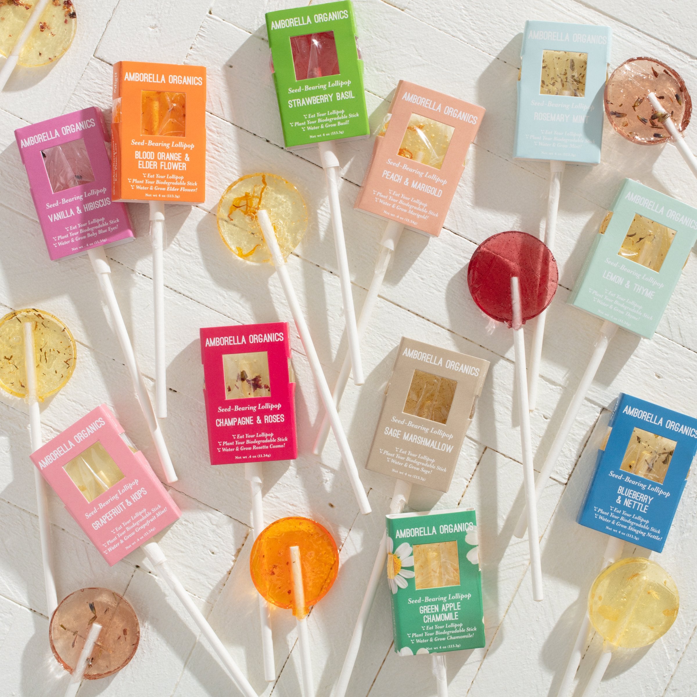 Amborella Lollipops | NCMA CAFE